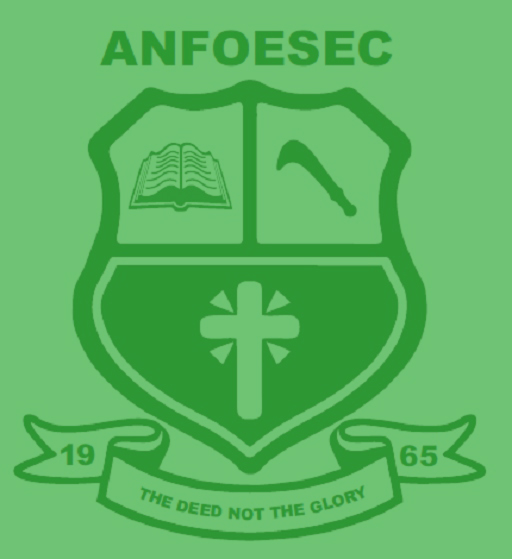 Anfoega Senior High School